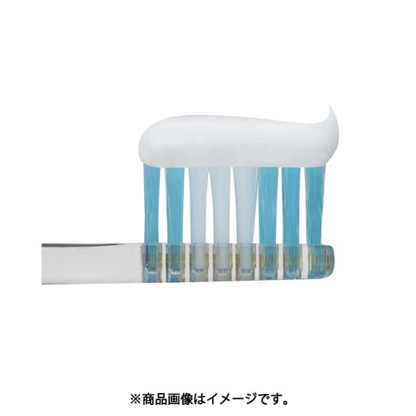 Dentor Clear Max Spearmint toothpaste 140g Lion – Japan Shop Okawa